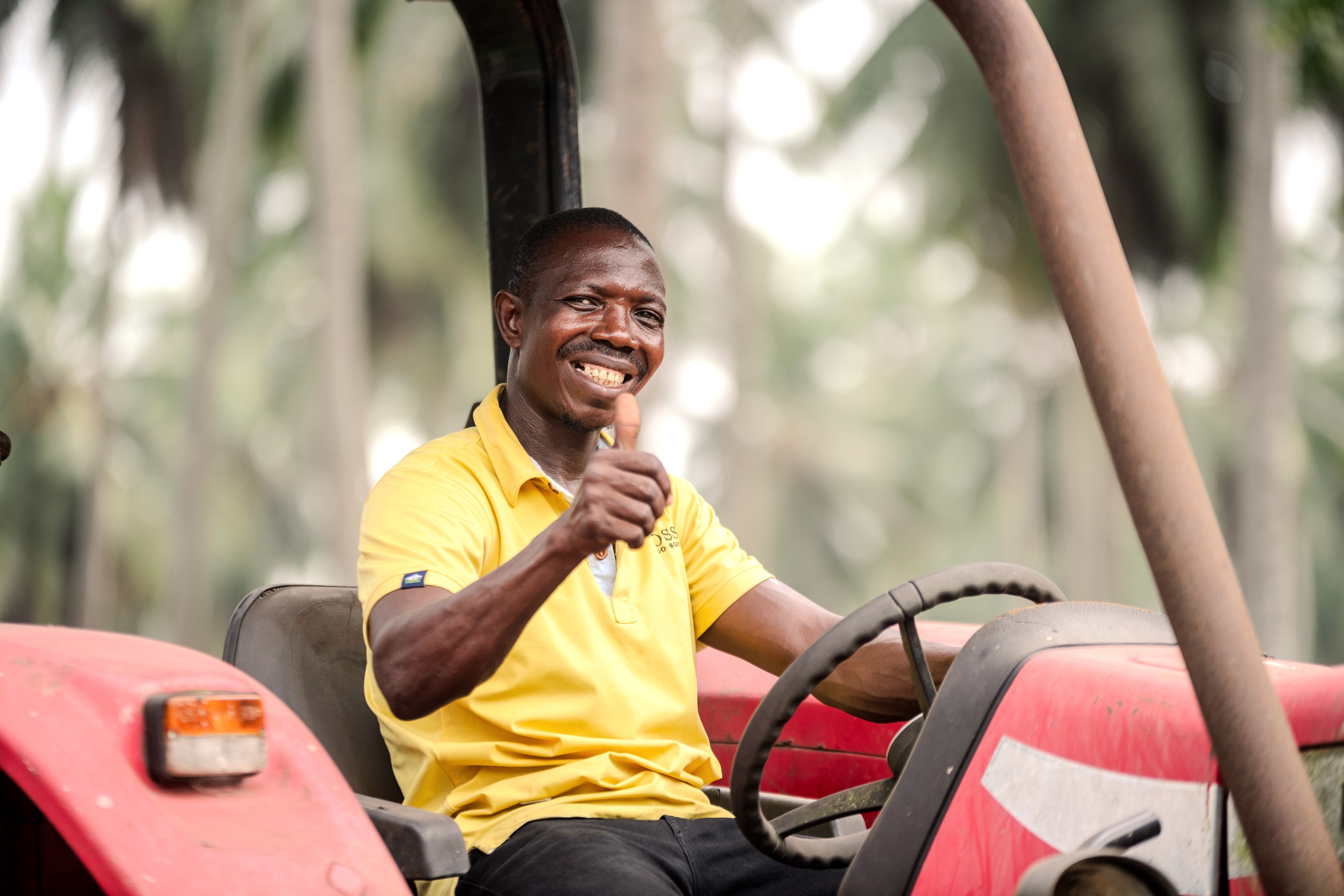 Successful projects for pineapple production | HPW Block Farms & SIPP